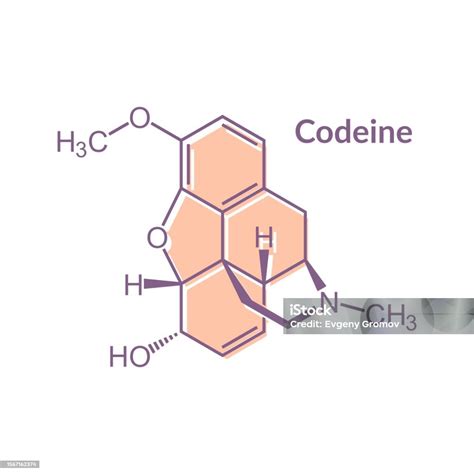 Molekul Obat Pereda Nyeri Dan Batuk Kodein Formula Kerangka Ilustrasi