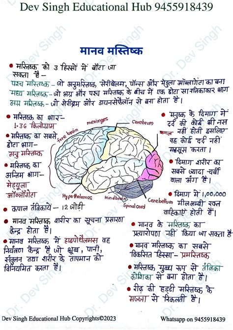 Dev Singh Educational Hub Dev Singh Educational Hub