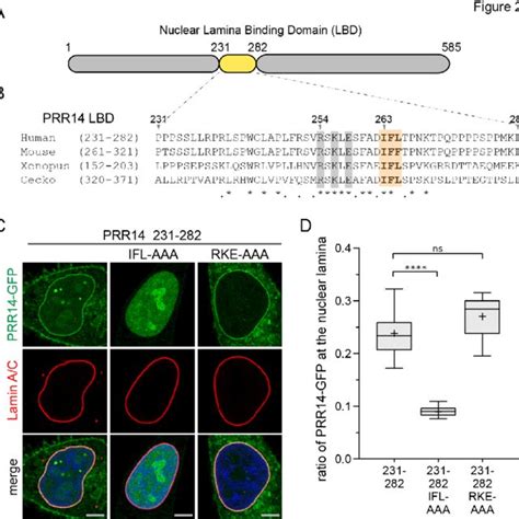 Identification Of Functional Evolutionarily Conserved Residues In The