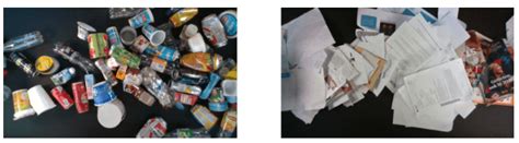 WasteNet Instance Segmentation Of Novel Objects Recycleye