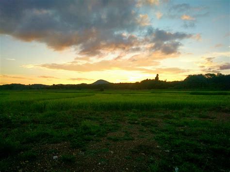 สาวกเด็กนาคร ยาดมไฮเป๊กซ์ทูเวย์ ดมก็ได้ ทาก็ดี ยาดมไฮเป๊กซ์ทูเวย์ ติด