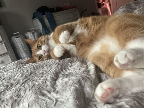 Trying To Lure Me In Rcurledfeetsies