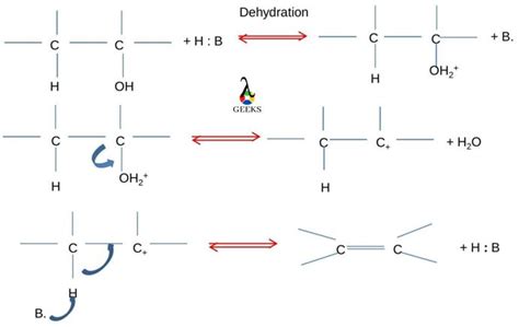 Dehydration Synthesis Example 9 Facts You Should Know