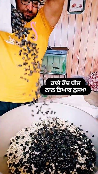 Konch Beej Wala Nuskha For Sperm Count And Sex Power Cont 7508416914