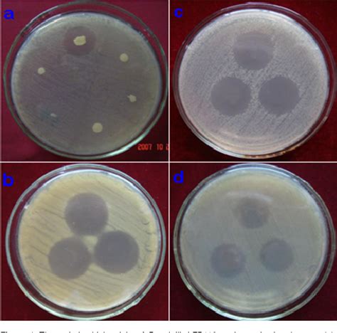 Figure 1 From Isolation And Characterization Of A Bacteriocin Produced