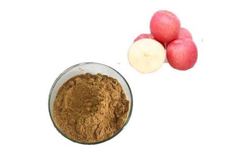 China Apple Extract Powder Manufacturers Suppliers Factory Apple