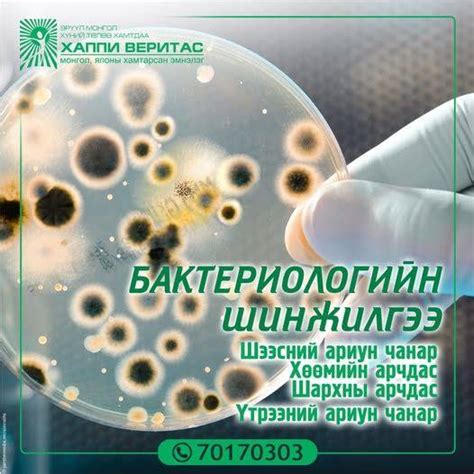【happy Бактерлогийн шинжилгээг БүрэнАвтомат төхөөрөмжөөр хийж байна 🧑‍🔬Шинжилгээний бэлтгэл