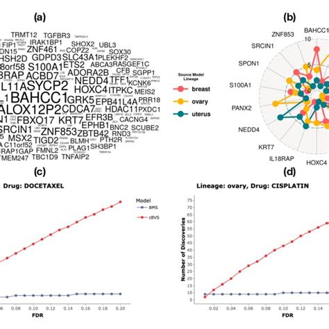 drug response model summaries panel a presents a wordcloud of top