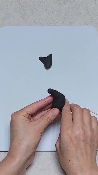 할로원 고양이 Youtube