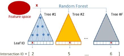 Random Forest Mapping Intersection Index Vectors Have Leaf Indices