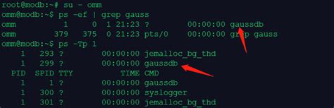 openGauss每日一练第1天之gsql gs ctl工具使用 墨天轮