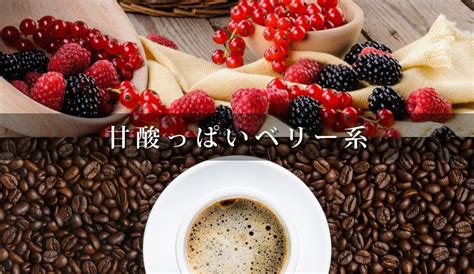 【コーヒーの総合専門店】香味のイメージから探す甘酸っぱいベリー系