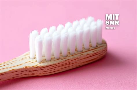 Cada Cuanto Tiempo Debes Cambiar Tu Cepillo De Dientes