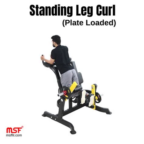 Standing Leg Curl Without Machine