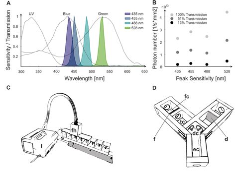 Stimuli Qualities And Experimental Setup A Spectral Sensitivity Of