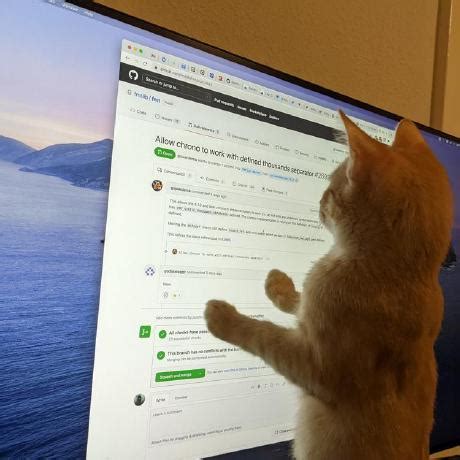 GitHub DDSS FE DDuck SSang We Will Provide Real Time Market Prices And Economic News