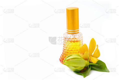 依兰花依兰油香薰精油