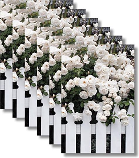 6x Dubbele Wenskaart Met Envelop Blanco Bloemen 11 5 X 17 Cm Bol