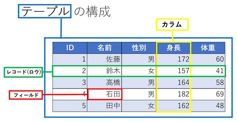 「sqlってなに？おいしいの？」な人に送るsqlの第一歩 Mseeeen