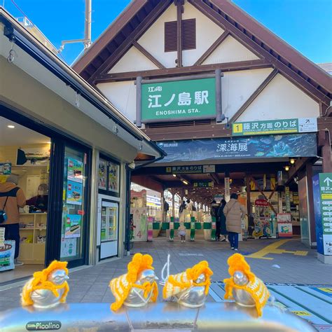 キュンとするまち。藤沢【藤沢市公式】 【藤沢市役所9階からの景色🌇】 藤沢市役所本庁舎9階からは、藤沢の街並みを見ることができます！ 電車