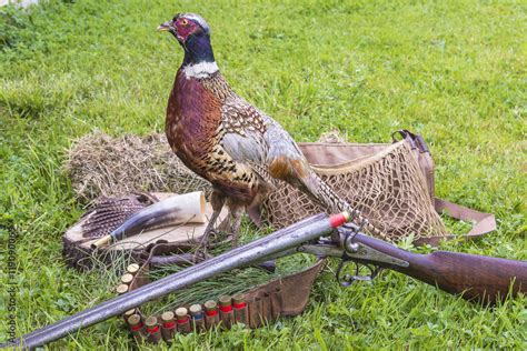 Antique Hunting Pheasent