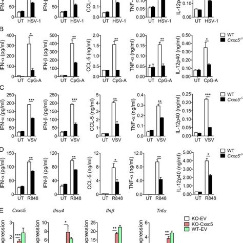 Cxxc5 Regulated Gene Expression In Pdcs A Graphic Presentation Of Download Scientific