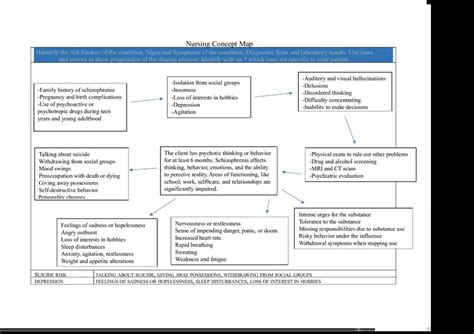 Concept Map Schizophrenia Cheat Sheet Edubirdie