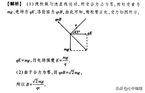 带电粒子在复合场中的运动（高中物理复合场解题技巧） 猴哥经验网