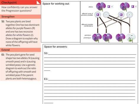 Aqa B6 Inheritance Variation And Evolution Teaching Resources