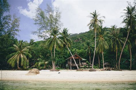 Tropical Beach By Stocksy Contributor Andrey Pavlov Stocksy
