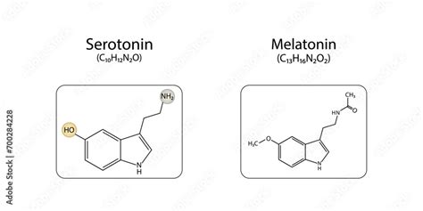 Serotonin And Melatonin Structural Chemical Formula Isolated On White