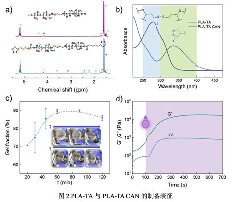 Acs Macro Letters可控生物降解聚乳酸基共价自适应网络 江南大学先进功能高分子材料研究中心