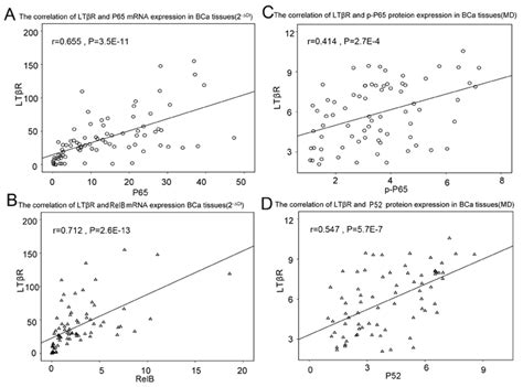 Correlations Between Lymphotoxin β Receptor Ltβr And Nuclear