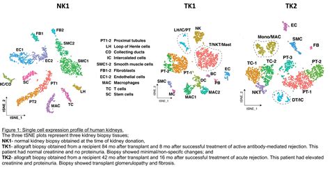 10x Single Cell Sequencing