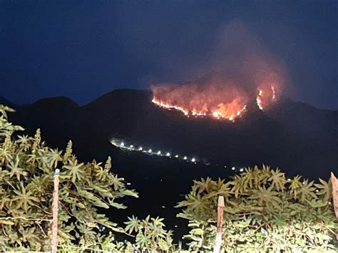 Alerta Por Incendios Forestales Por El Fenómeno De El Niño Estas Son