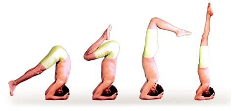 Sheershasanhead Stand Pose Benefits — Steemit