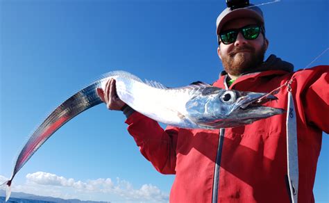 Why Do Fish Bite Lures At Julian Mcneil Blog