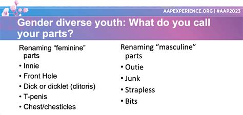 Mis Adventures At The Aap Conference By Lisa Selin Davis