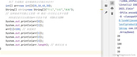 java基础：数组详解、动态初始化与实战应用 csdn博客