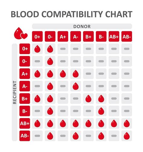 Premium Vector Blood Group Compatibility Table