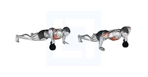 Scapula Push Up Guide Benefits And Form