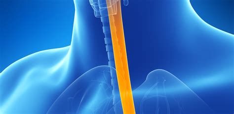 Acg Issues First Eoe Guidelines Since 2013 Conexiant