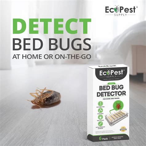 Bed Buggies Early Detection