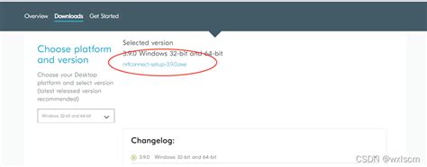 Nrf Connect For Desktop下载程序初探 Csdn博客