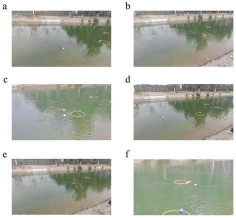 Jmse Free Full Text Swarm Game And Task Allocation For Autonomous