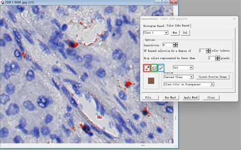 解忧小工具｜用image Pro Plus进行免疫组化分析（平均光密度值） 知乎