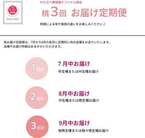 桃3回定期便 福島の桃を産地直送【わたなべ果樹園】