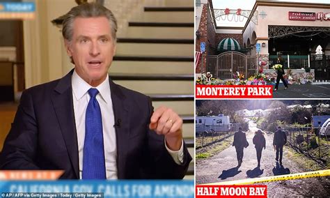 Gavin Newsom Proposes A 28th Amendment For Guns In Us Constitution