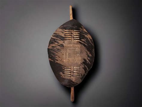 Nguni Shield Adam Prout Ethnographic Art