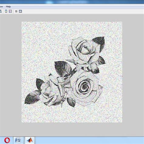 Input Image Read In Mat Lab Download Scientific Diagram